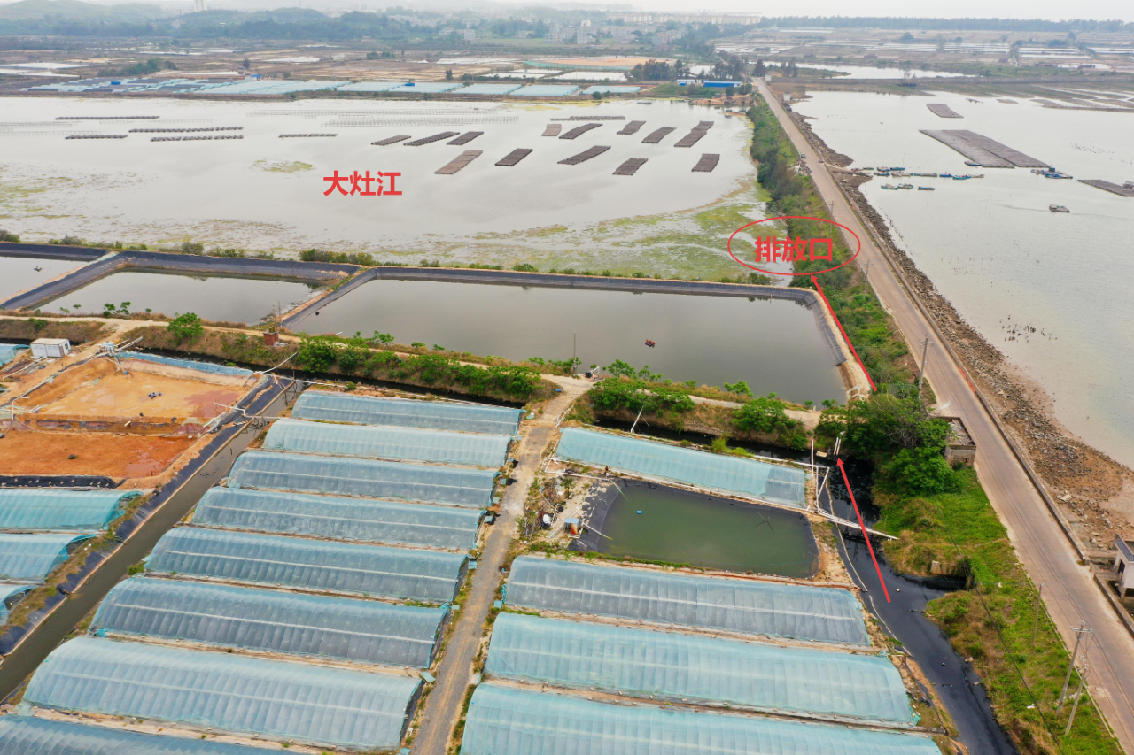 广西北海钦州等地海洋生态保护短板明显_中华人民共和国生态环境部
